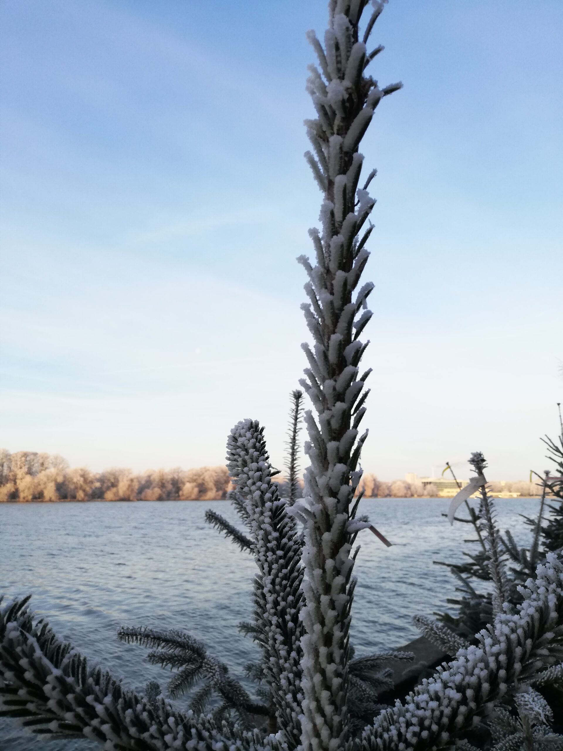 winter_an_der_luwi_fotowettbewerb_weihnachten_2021_13 – Ludwig ...